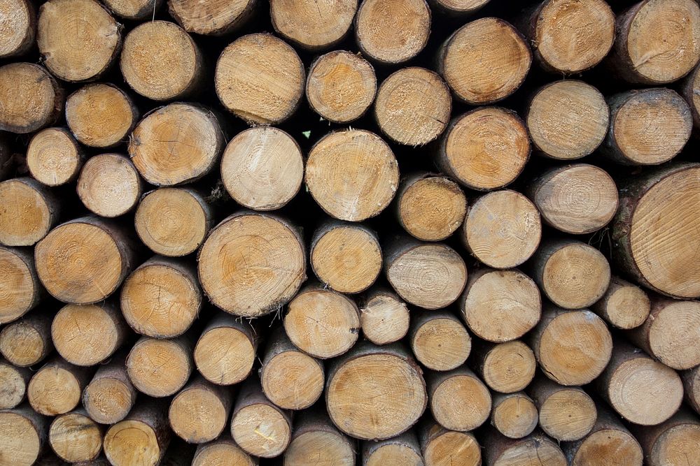 Free wood logs image, public | Free Photo - rawpixel
