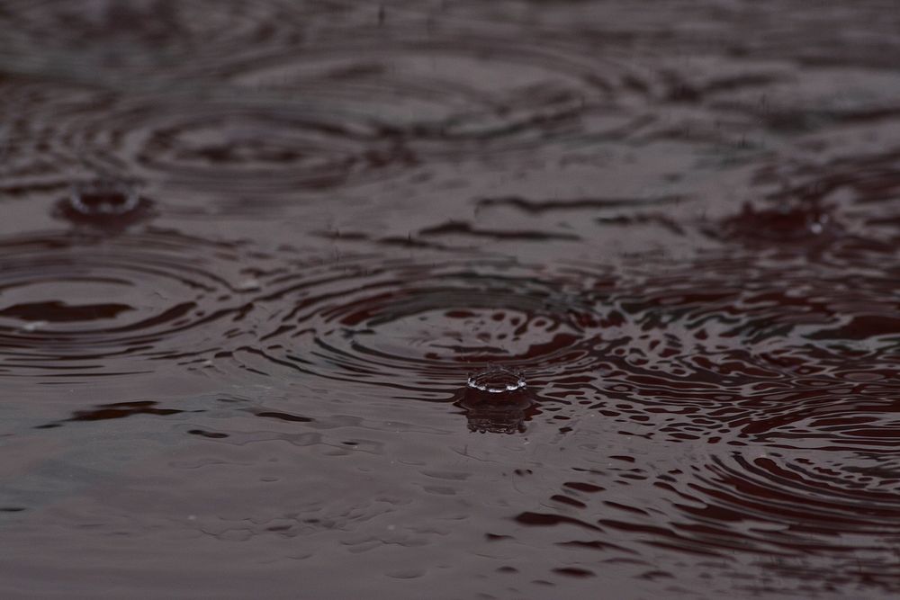 Free rain water texture background, | Free Photo - rawpixel