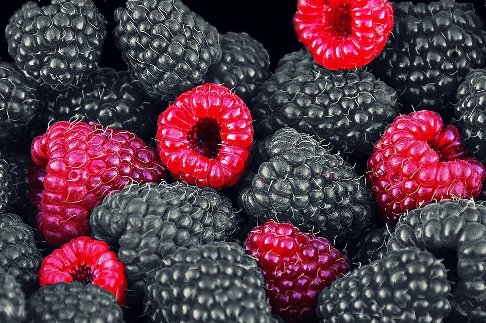 Free berries images, public domain | Free Photo - rawpixel