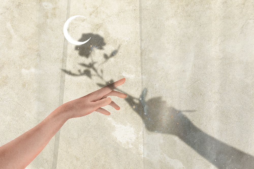 Aesthetic shadow hand background, flower | Premium Photo Illustration ...