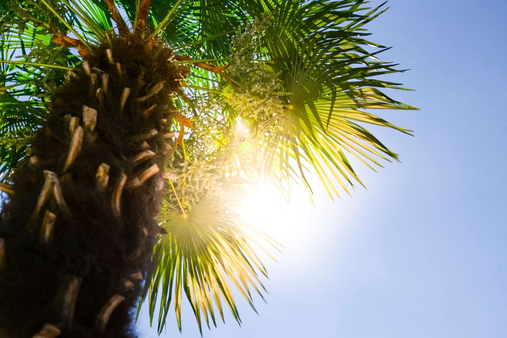 Free nature landscape public domain | Free Photo - rawpixel