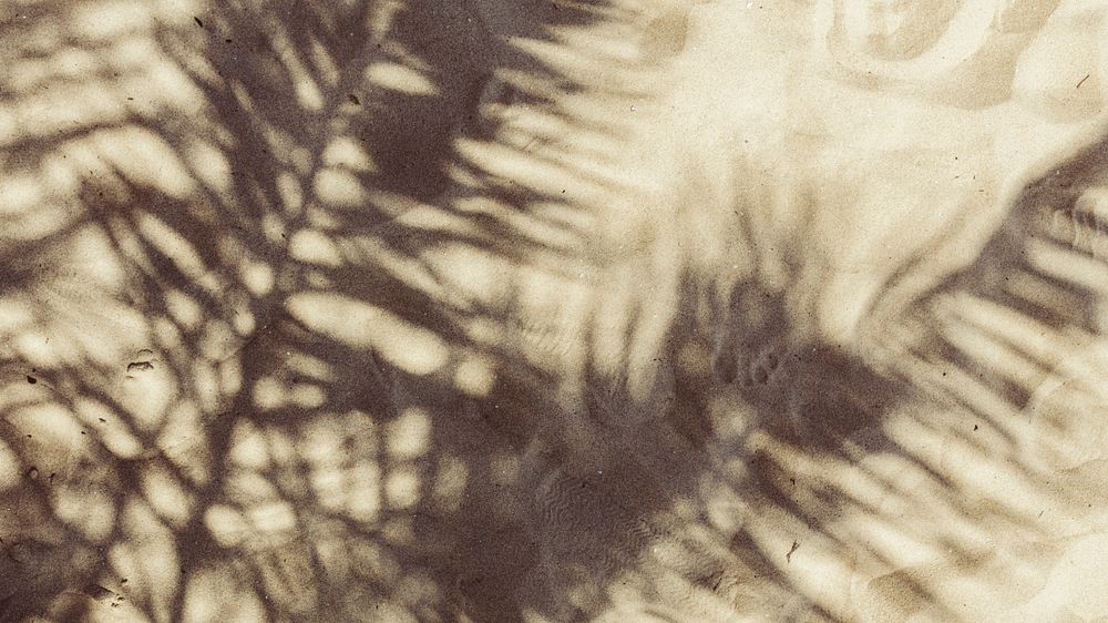 Leaf shadow desktop wallpaper, HD | Premium Photo - rawpixel