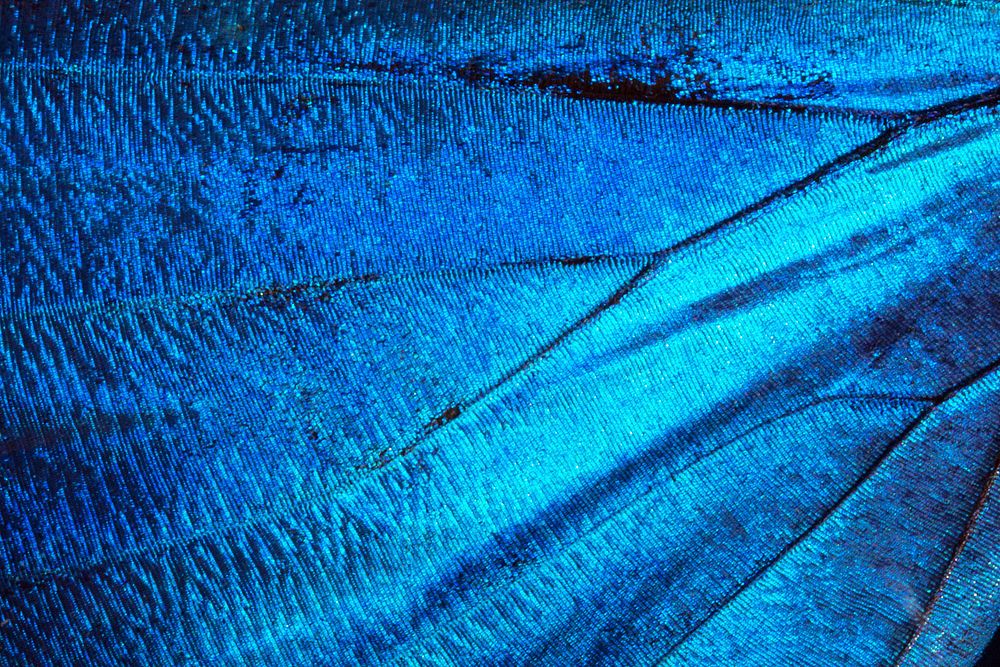 Water texture, abstract, ocean, background, | Free Photo Illustration ...