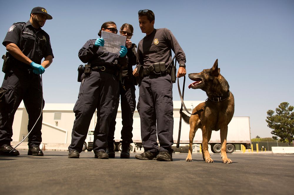 U.S. Customs and Border Protection | Free Photo - rawpixel