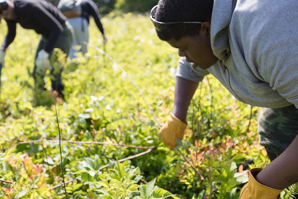 Groundwork RVA's Green Team | Free Photo - rawpixel