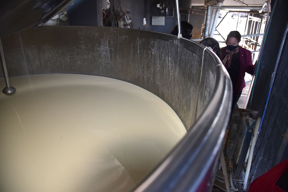 CdA Savage visita Florida durante | Free Photo - rawpixel