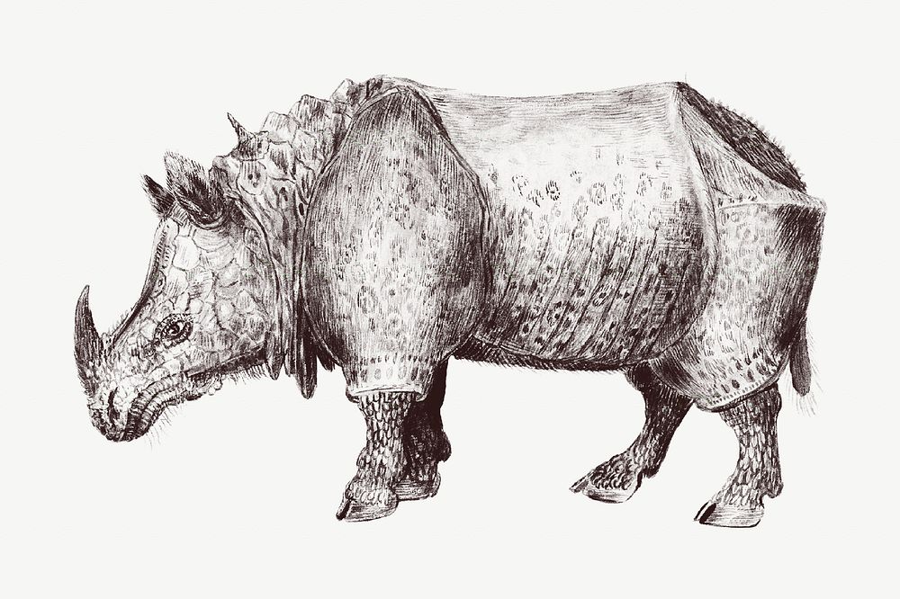 Rhino vintage illustration, animal drawing | Premium PSD - rawpixel