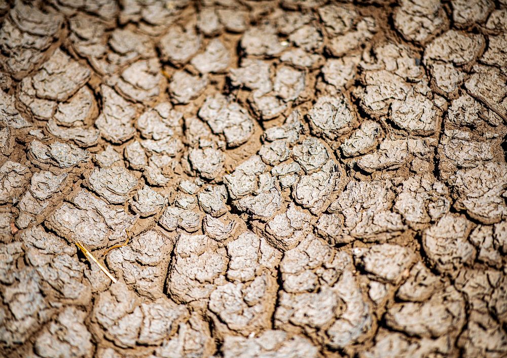 Drought texture close up background, | Free Photo - rawpixel