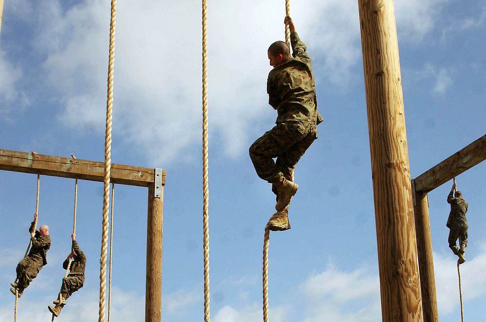 High Rope | Free Photo - rawpixel