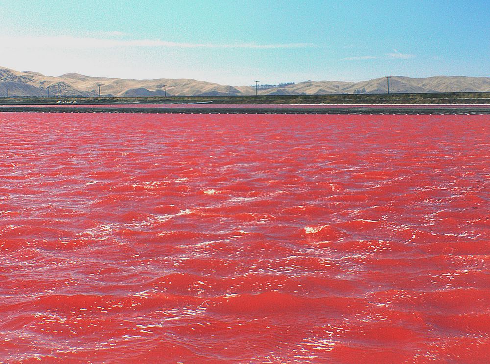 Solar Salt Ponds. | Free Photo - rawpixel