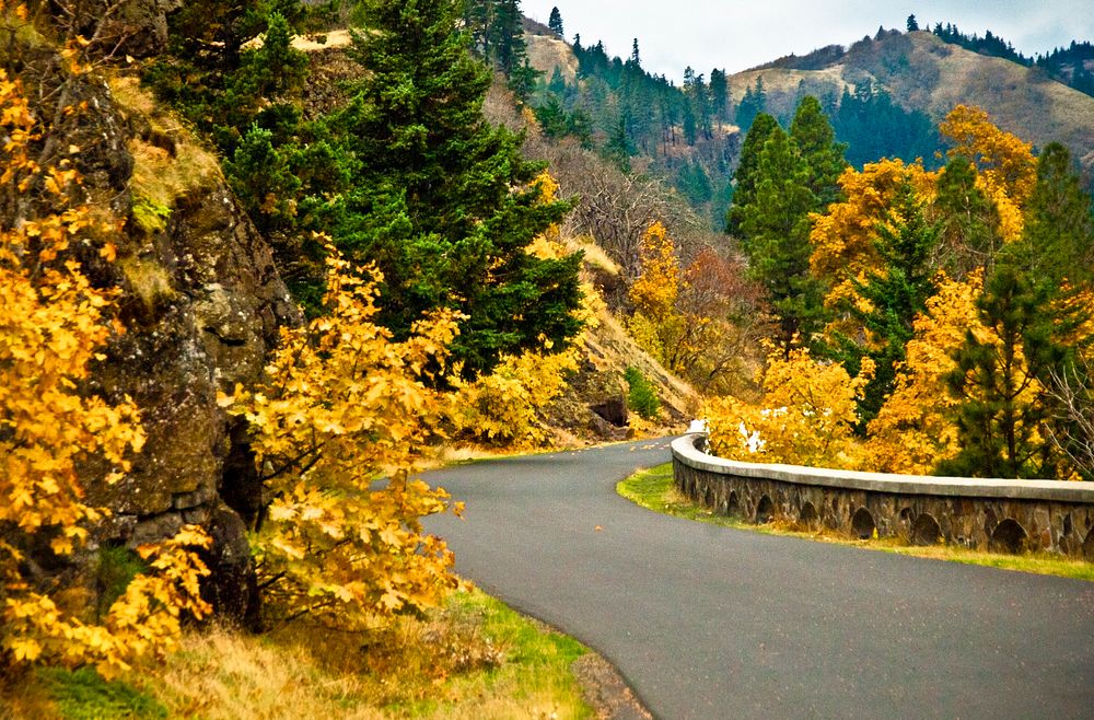 MOSIER TWIN TUNNELS TRAIL FALLColumbia | Free Photo - rawpixel