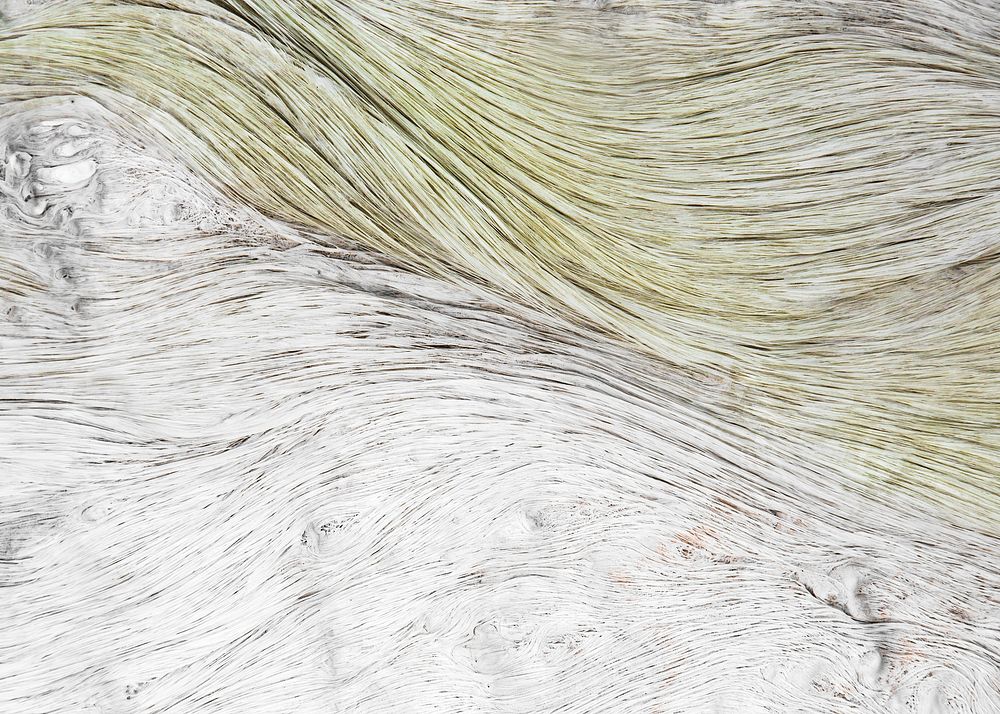 Artificial fur, abstract texture close | Free Photo - rawpixel