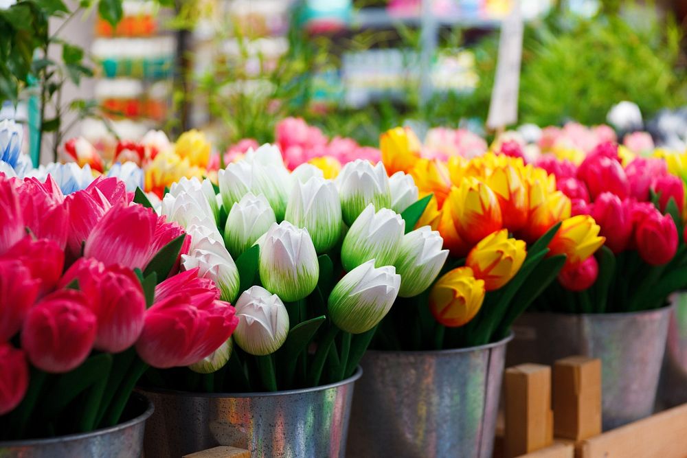 Flower shop background. Free public | Free Photo - rawpixel
