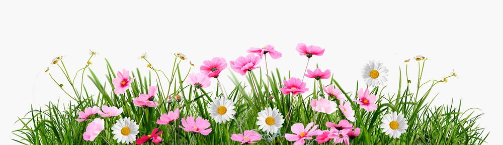 Flower field border, floral graphic | Premium PSD - rawpixel