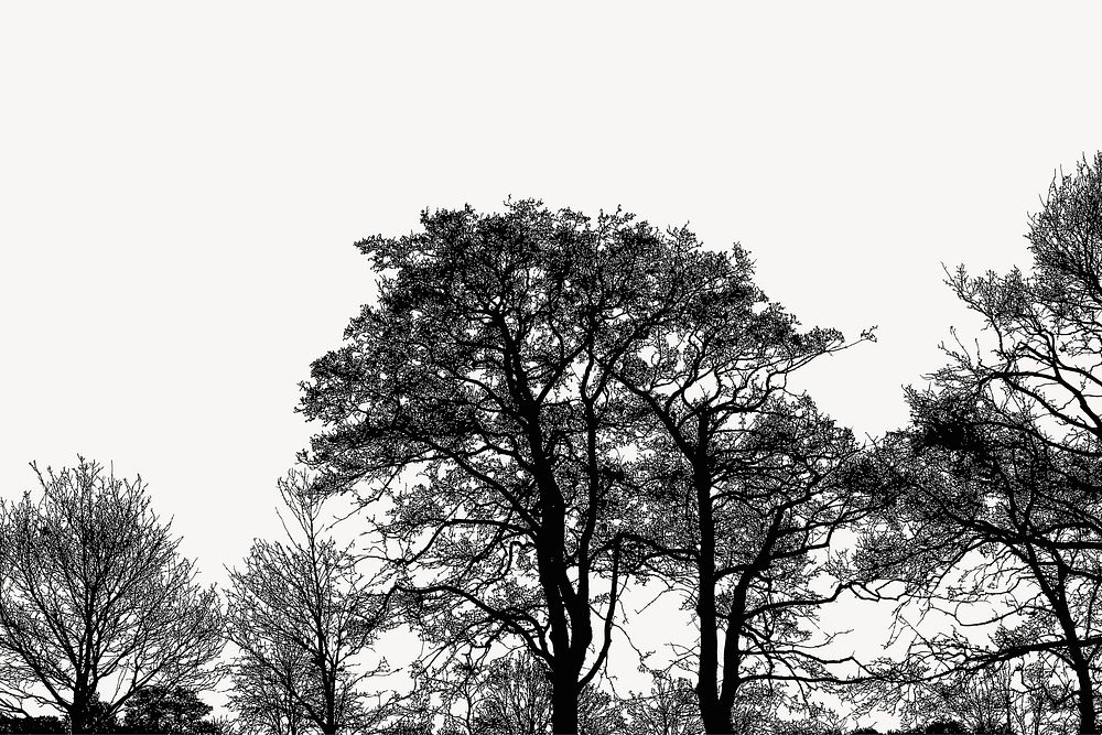 Trees silhouette, nature border background. | Free Photo - rawpixel