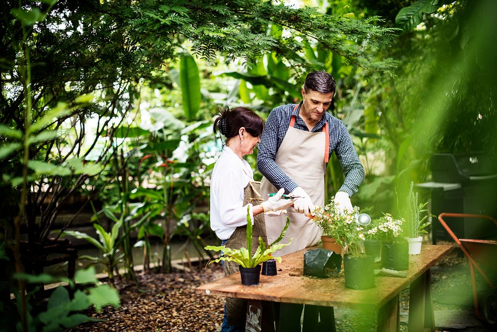 Couple planting flowers together garden | Premium Photo - rawpixel