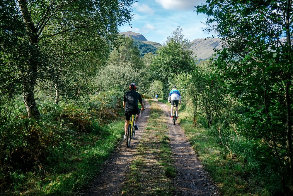 Group of cyclists riding through the forest | Premium Photo - rawpixel