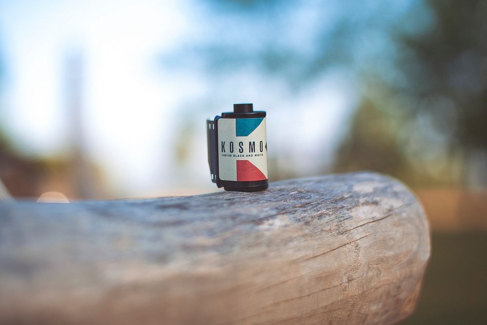 Photographic film on a log | Free Photo - rawpixel