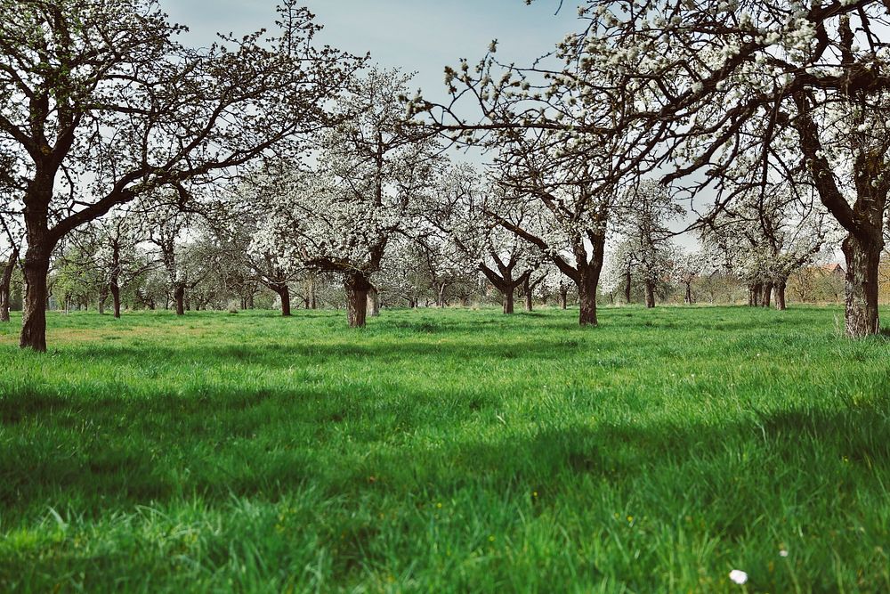 Landscape Raw Images | Free Photos, PNG Stickers, Wallpapers ...