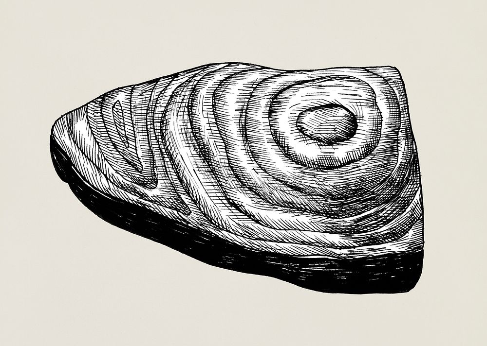 Hand drawn fish fillet | Free Photo Illustration - rawpixel