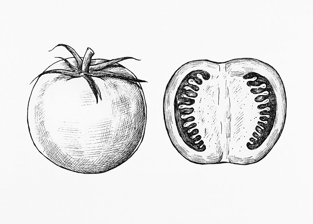 Hand drawn fresh tomatoes set | Premium PSD Illustration - rawpixel