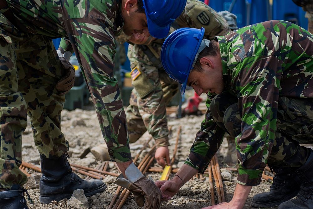 Original public domain image Flickr | Free Photo - rawpixel