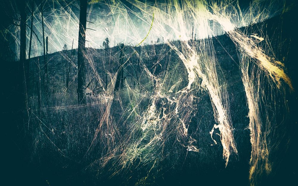 The Difficult Path | Free Photo - rawpixel