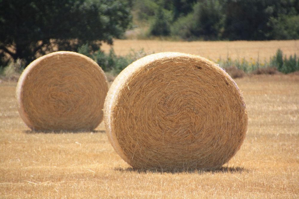 Bales de palla | Free Photo - rawpixel