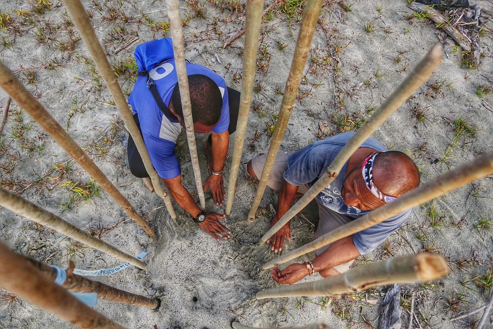 Team Leatherback | Free Photo - rawpixel