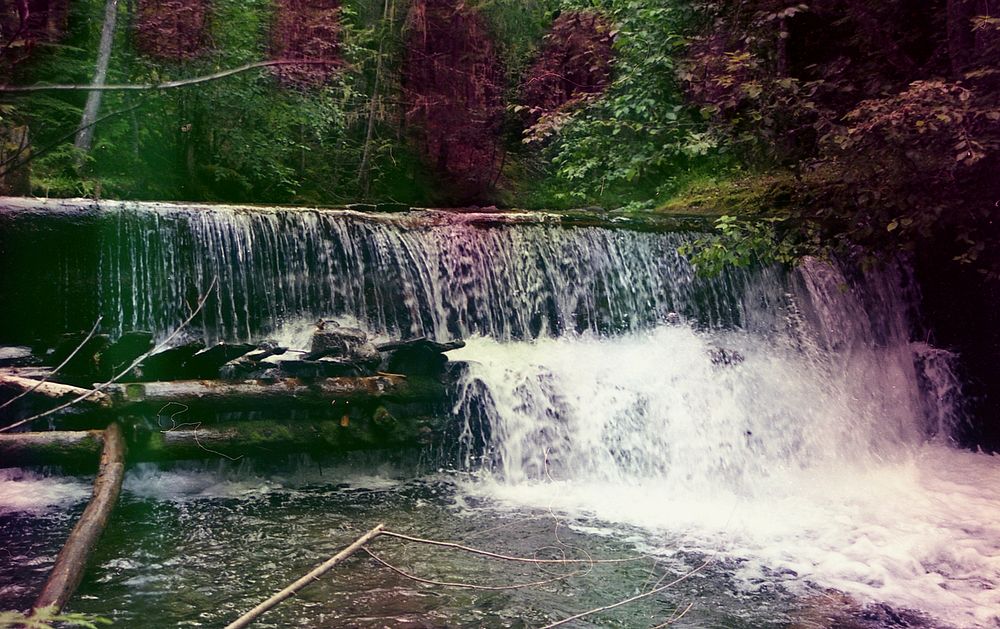 Watered Down | Free Photo - rawpixel