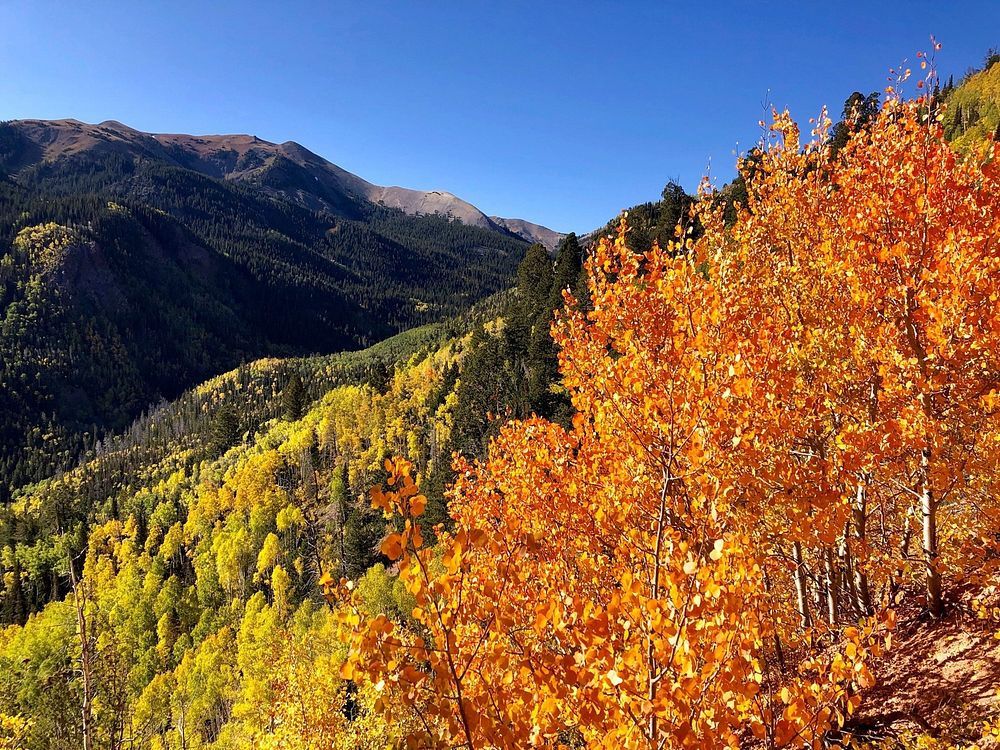Fall 2019 Beaver Ranger District | Free Photo - rawpixel
