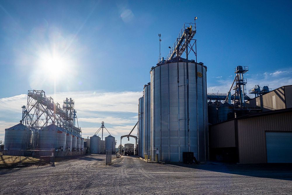 U.S. Department of Agriculture (USDA) | Free Photo - rawpixel