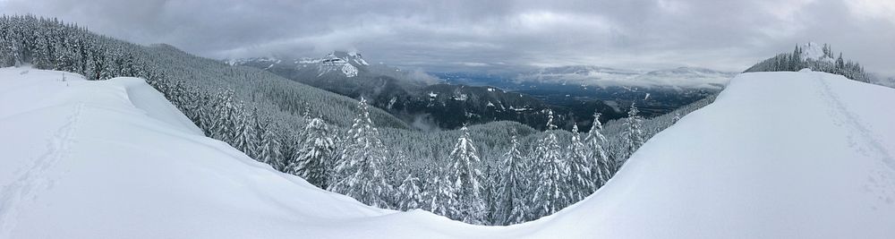 Original public domain image Flickr | Free Photo - rawpixel