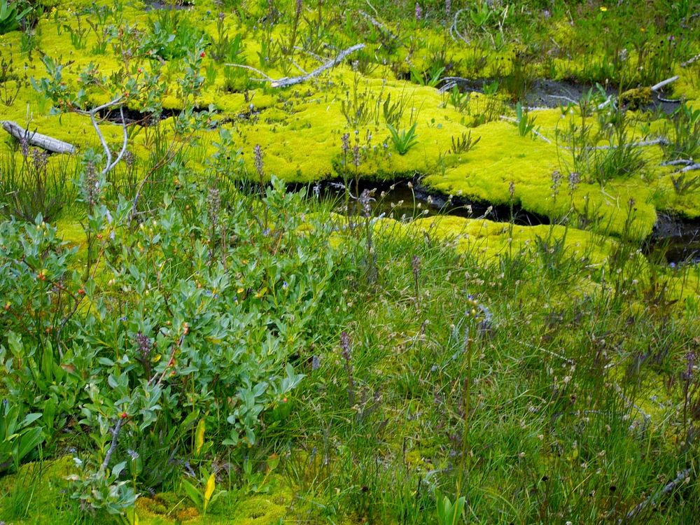 Original public domain image Flickr | Free Photo - rawpixel