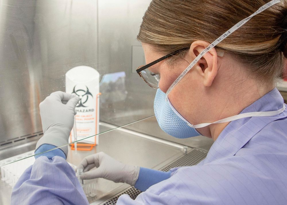 NMCSD Microbiology Laboratory. | Free Photo - rawpixel