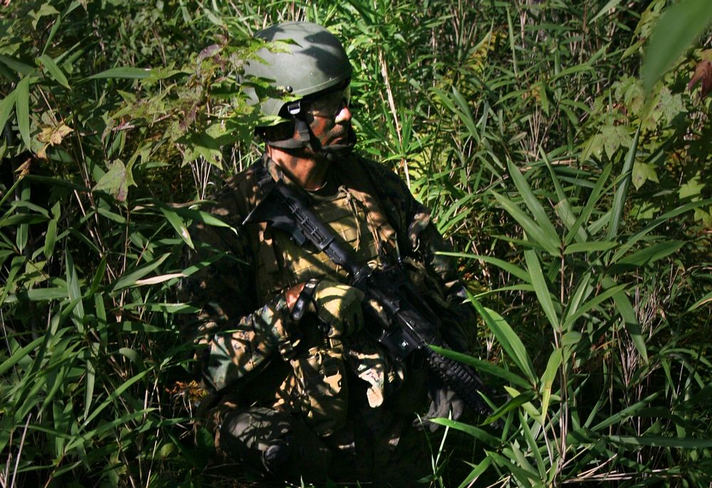 Marine blends forest | Free Photo - rawpixel