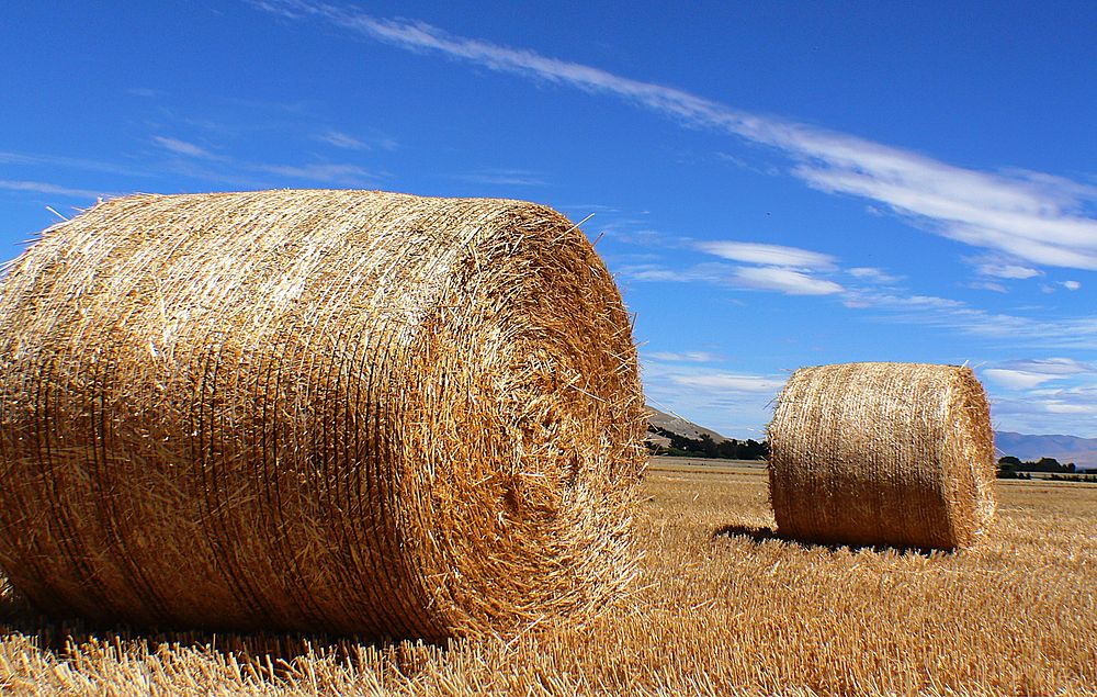 Haybales. Farmers who need make | Free Photo - rawpixel