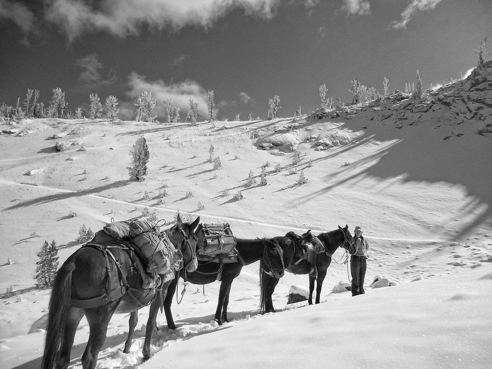 Cougar Basin 2Payette National Forest. | Free Photo - rawpixel