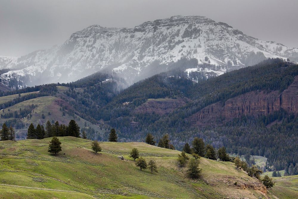 Spring snow, Lamar Valley | Free Photo - rawpixel