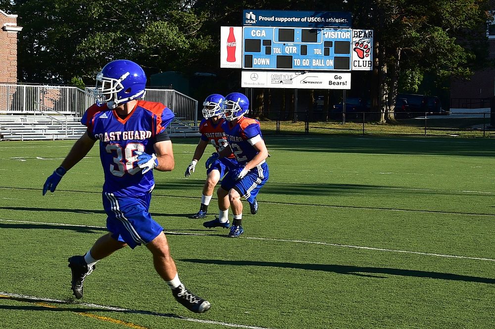 U.S. Coast Guard Academy Bears | Free Photo - rawpixel