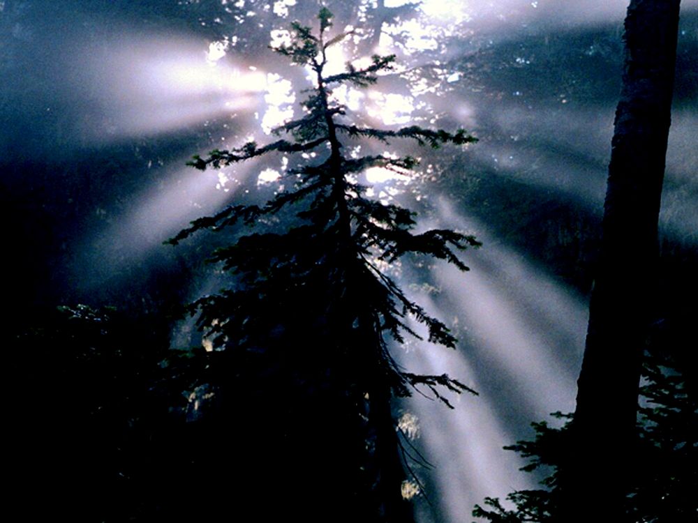 Original public domain image Flickr | Free Photo - rawpixel