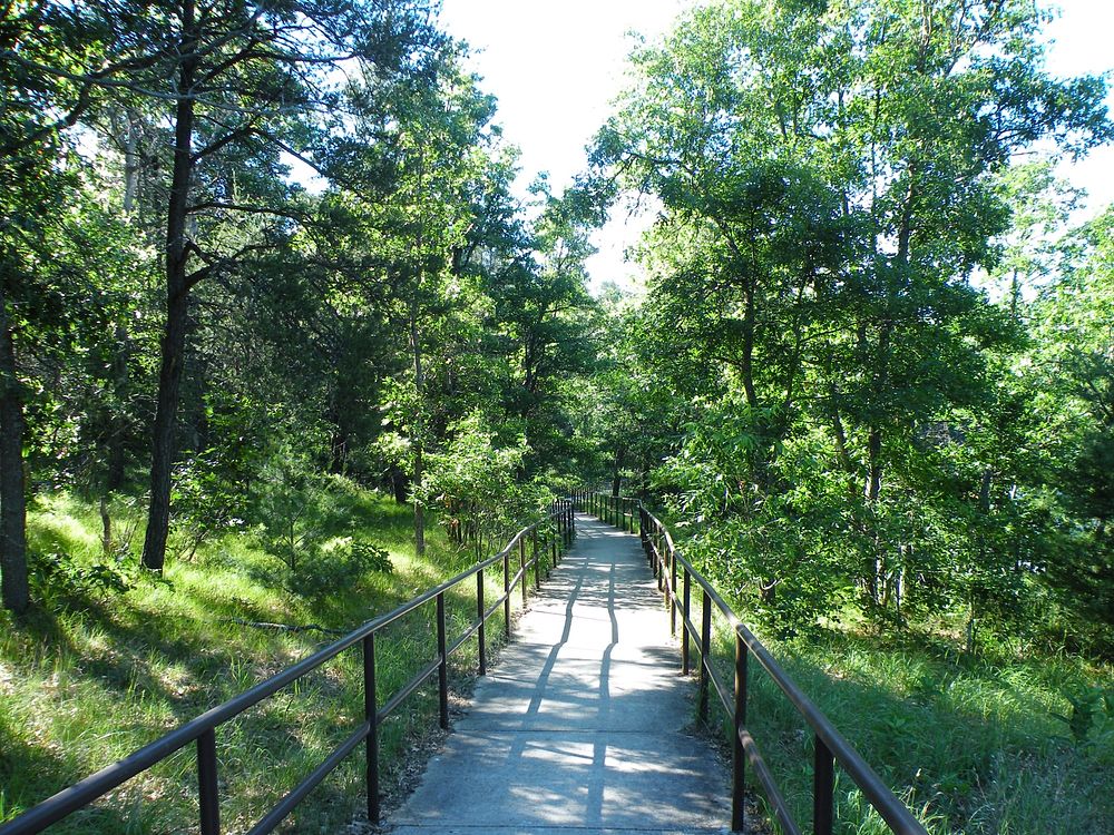 Kneff Lake Campground. Original public | Free Photo - rawpixel