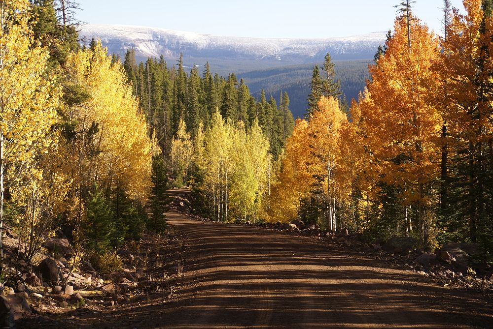 First Snow Chepeta Lake Ashley | Free Photo - rawpixel