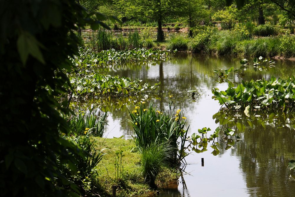 Ponds and Sign | Free Photo - rawpixel