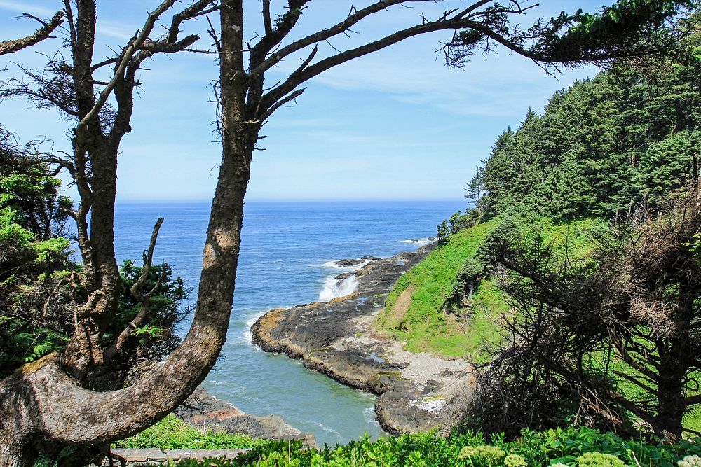 Devil's Churn Oregon. | Free Photo - rawpixel