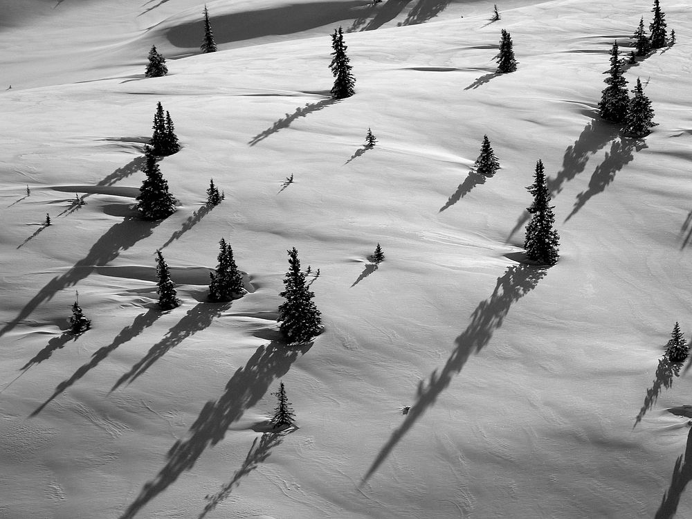 Tree shadow snowy mountain. Original | Free Photo - rawpixel