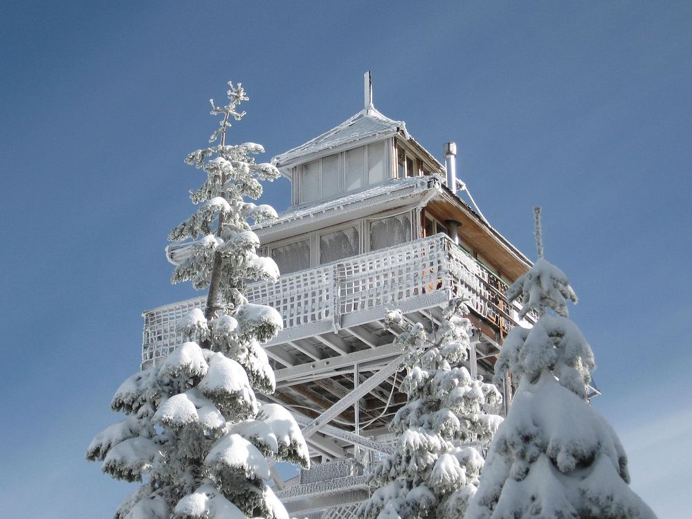 Snowy Trees Warner Mountain Lookout | Free Photo - rawpixel