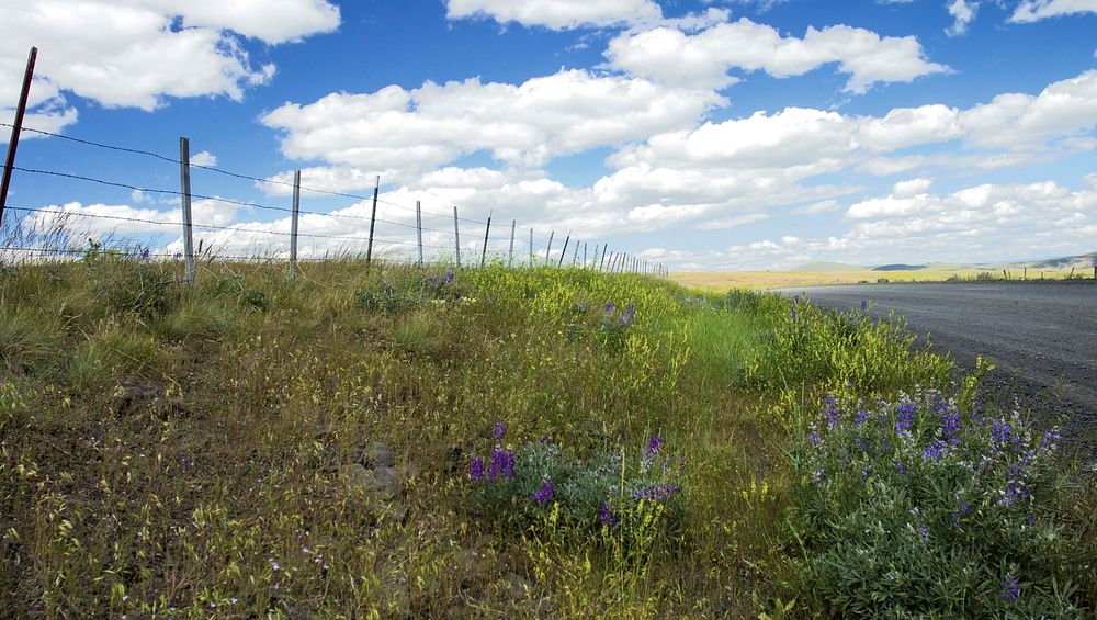 Zumwalt Prairie, Oregon. | Free Photo - rawpixel