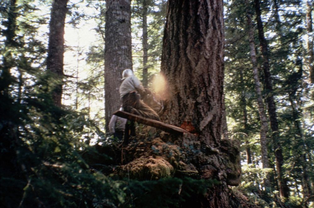Logger using springboard. Original public | Free Photo - rawpixel