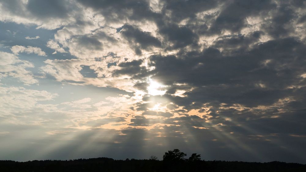 Crepuscular rays over pine forest | Free Photo - rawpixel
